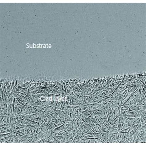 Sem Indicates Good Fusion At The Interface Between The Cladding Layer Download Scientific