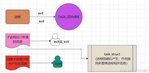 进程的退出与等待 进程等待与退出 csdn博客