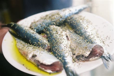 Srdele Na Saur Riba Hrvatske