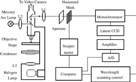 Schematic Diagram Of The Instrument Of Hadamard Transform Microscopic