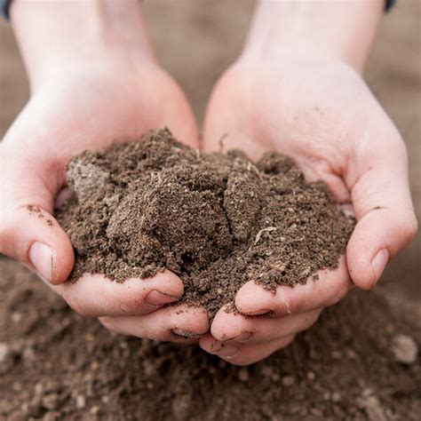 Soil Testing Turf And Gardening Store