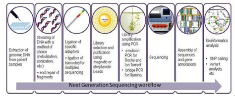 How Sequencing Works Ngs Analysis How Sequencing Works Ngs Analysis