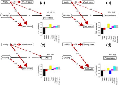 Structural Equation Model For Extracellular Enzyme Activities A Download Scientific Diagram