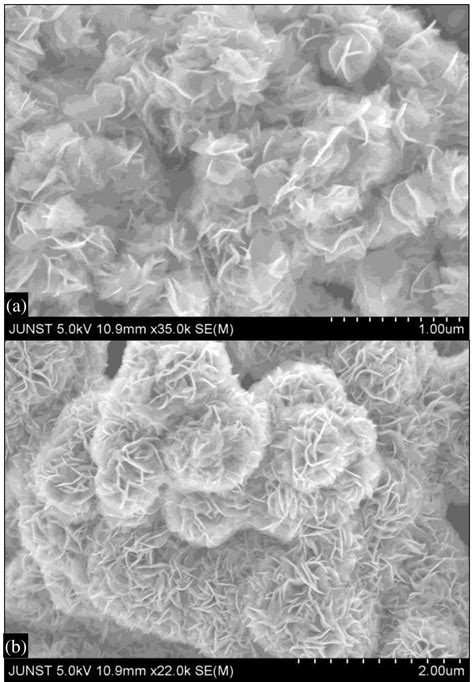 A B Fe Sem Image Of Mos2 Nanosheets