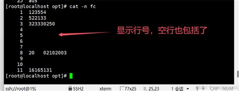 Linux查看文件命令 Csdn博客