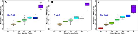 Figure 3 From Enhanced Copy Number Variants Detection From Whole Exome Sequencing Data Using