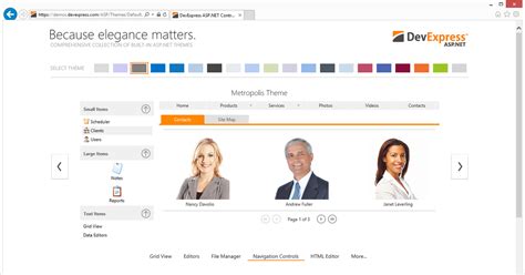 Devexpress Aspnet 1814