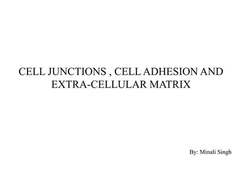 Cell Junctions Cell Adhesion And Extra Cellular Matrix Pptx