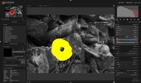 Some Enhancements To Conditional Blending Darktable
