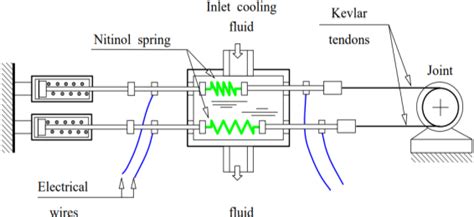 Figure 1 From Modeling And Control Of Shape Memory Alloy Actuators A Tutorial Semantic Scholar