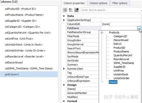 DevExpress WinForms中文教程Data Grid 如何在设计时创建和管理列 知乎