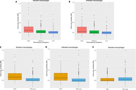 Cell To Cell Variability Analysis Of Human Renal Macrophages