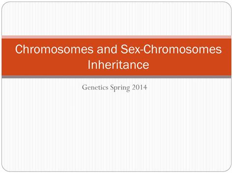 Ppt Chromosomes And Sex Chromosomes Inheritance Powerpoint Presentation Id
