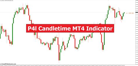 P4l Candletime Mt4 Indicator