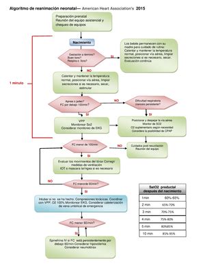Semiología básica de radiografía de tórax Introducción L a técnica de