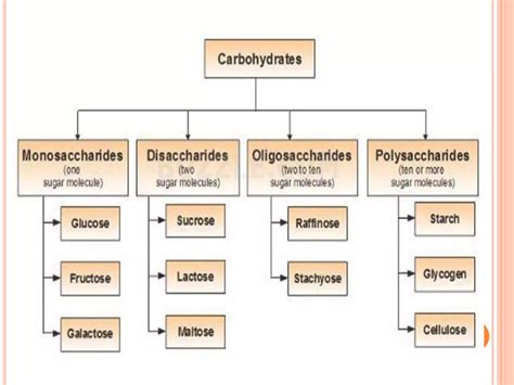 Biomolecules Carbohydrates Lipids Nucleic Acid PPTX