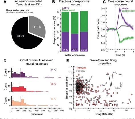Figure 1 From Oral Thermal Processing In The Gustatory Cortex Of Awake