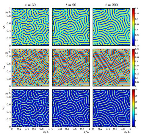 Numerical Solution Of A Spatio Temporal Predator Prey Model With Infected Prey