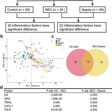 The Flow Chart Of The Study And The Characteristics Of Proteins Download Scientific Diagram