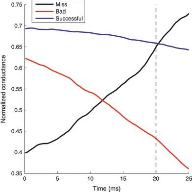 Response Triggered Average GPi Input Signals To A Computational Model Download Scientific