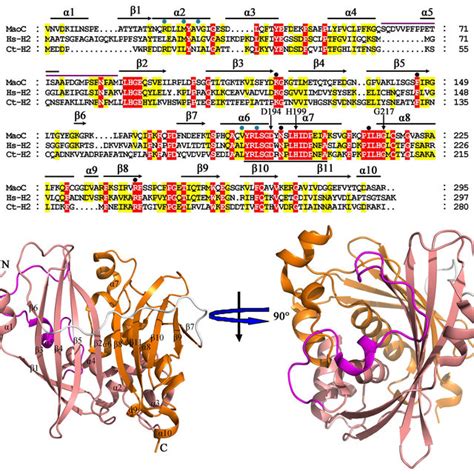 Kai Zhang Professor Assistant Ph D Yale University New Haven Yu Department Of