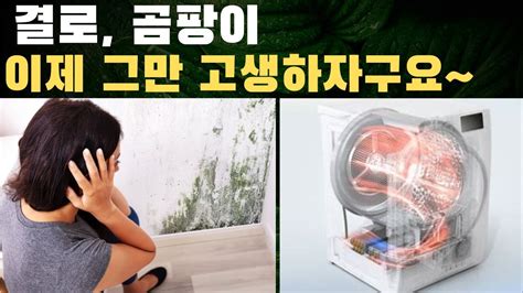 결로 곰팡이는 이 영상으로 해결하자구요~ Youtube