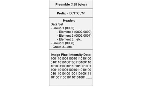 Structure Of A Dicom Image File [11] Download Scientific Diagram