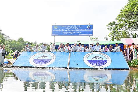 ခလောက်ထောင်ရေလျှံကွင်း အတွင်း ငါးသားပေါက်ကောင်ရေ တစ်သိန်းတစ်သောင်း ငါးမျိုးစိုက်ထည့် Myawady