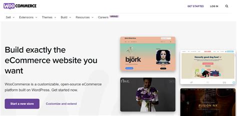 11 Best PayPal Plugins For WordPress To Collect Payments
