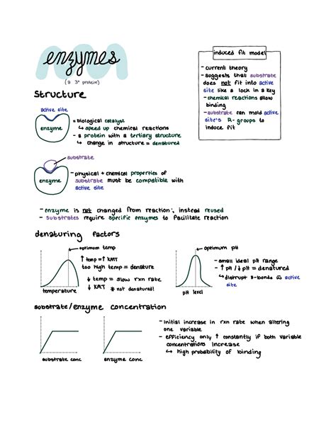 Enzymes Ap Biology Khan Academy At Brianna Rocher Blog