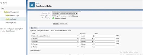 Duplicate Rules And Matching Rules Pashtek