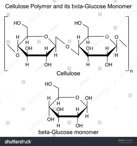 Structural Chemical Formula Cellulose Polymer Glucose Image