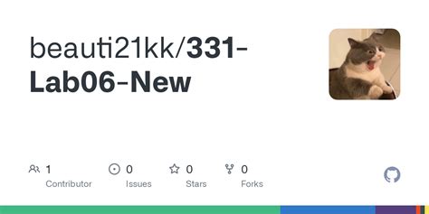 Github Beauti21kk331 Lab06 New