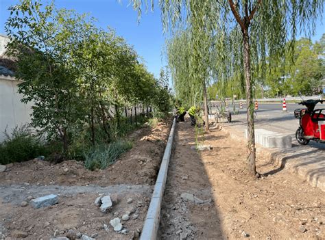 学习贯彻习近平新时代中国特色社会主义思想主题教育崇兴镇聚焦急难愁盼出实招办实事解民忧 整治 环境