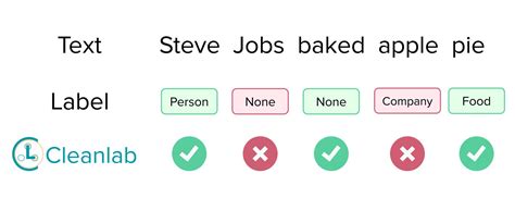 Detecting Issues in Named Entity Recognition Datasets | Cleanlab Studio Docs