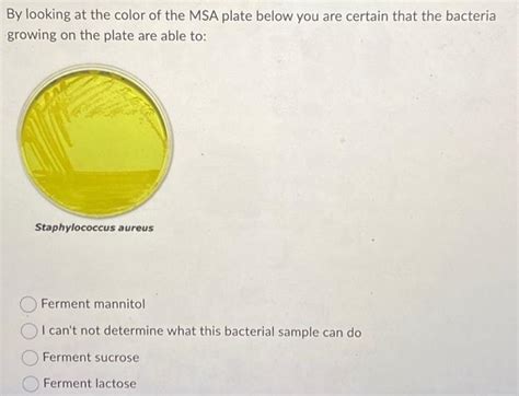 Solved By Looking At The Color Of The Msa Plate Below You