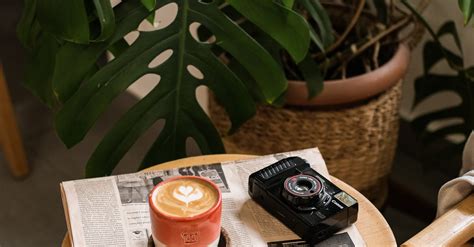 거실 고요한 고요한 환경 나무 질감 도자기 컵 독서하는 따뜻한 음색 따뜻한 조명 라떼 라떼 아트 라운드 테이블 러스틱 레저 목조 테이블 몬스 테라