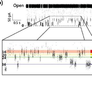 PDF Recent Advances Of DNA Sequencing Via Nanopore Based Technologies