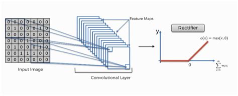 Understanding Relu Activation Function In Convolutional Neural Networks Medium