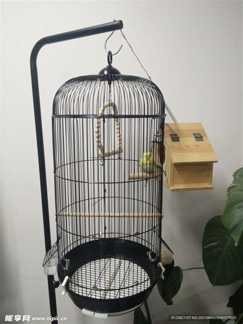 鸟笼摄影图 生活素材 生活百科 摄影图库 昵图网