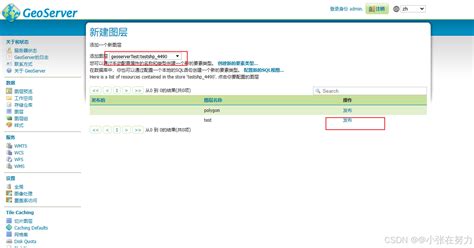 Qgis Postgis Pgadmin4 Geoserver实现地图数据从制作到发布的全过程qgis地图 Csdn博客