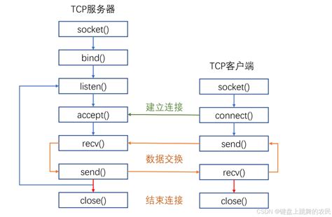 Python Socket 编程基础 Csdn博客
