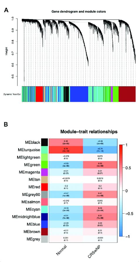 the constructed gene co expression modules of crswnp by wgcna in r a