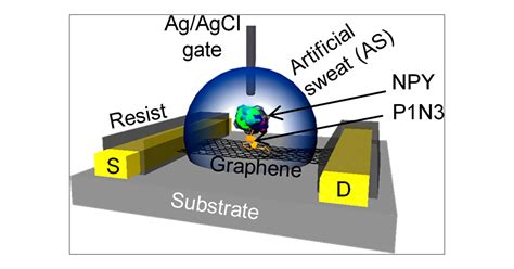Graphene Based Electrolyte Gated Field Effect Transistors For Potentiometrically Sensing