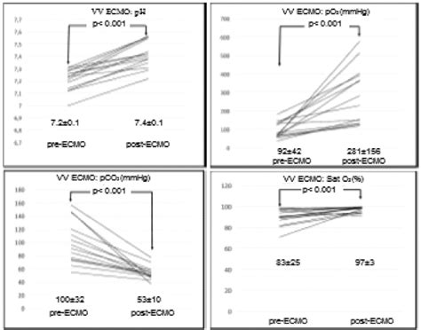 Gasometry Before And After Vv Ecmo In 14 Patients Download Scientific Diagram