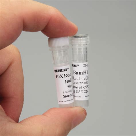 Ecori Restriction Enzyme 200 µl 2000 Units Ayva Carolina