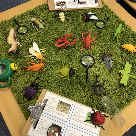 Pin On Tuff Tray Ideas Minibeasts Backyard Putting Green Minibeasts