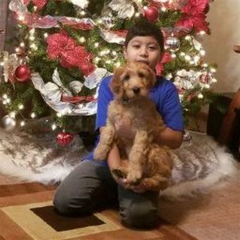 Andre Flores Youtube