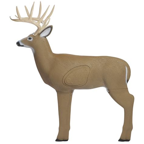 Shooter 3d Archery Target Buck Ebay