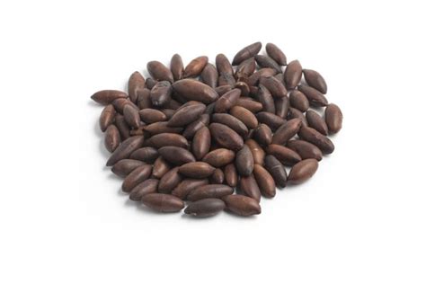 Different Types Of Nuts
